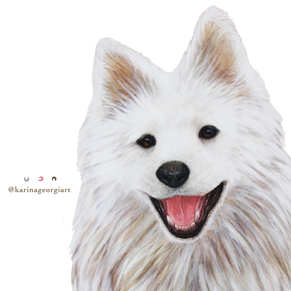 Pet Portraits – Karina Georgi Art